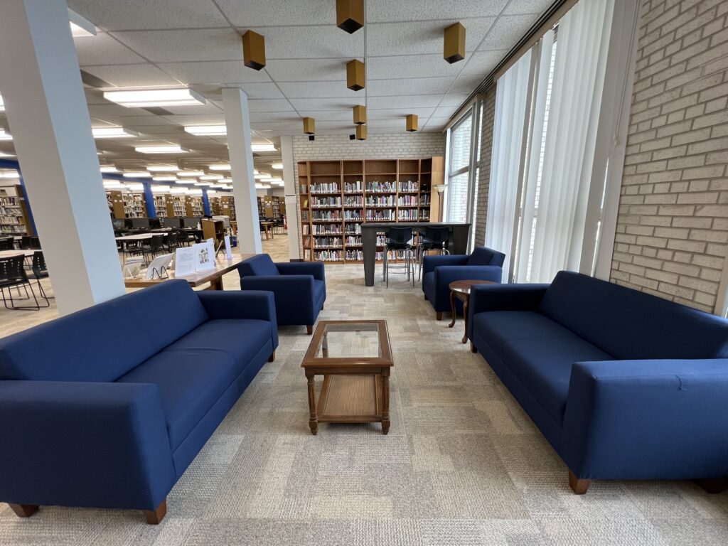 A Space of Their Own – Intellectual Curiosity and the Role of Libraries