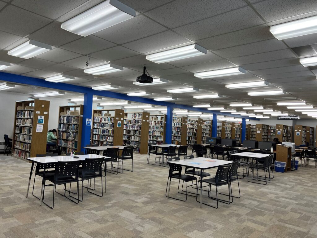 A Space of Their Own – Intellectual Curiosity and the Role of Libraries